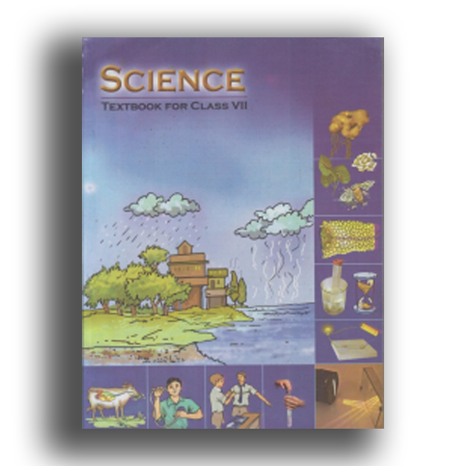 Science Textbook For Class 7 NCERT Book Paperback Ajay Online Stall